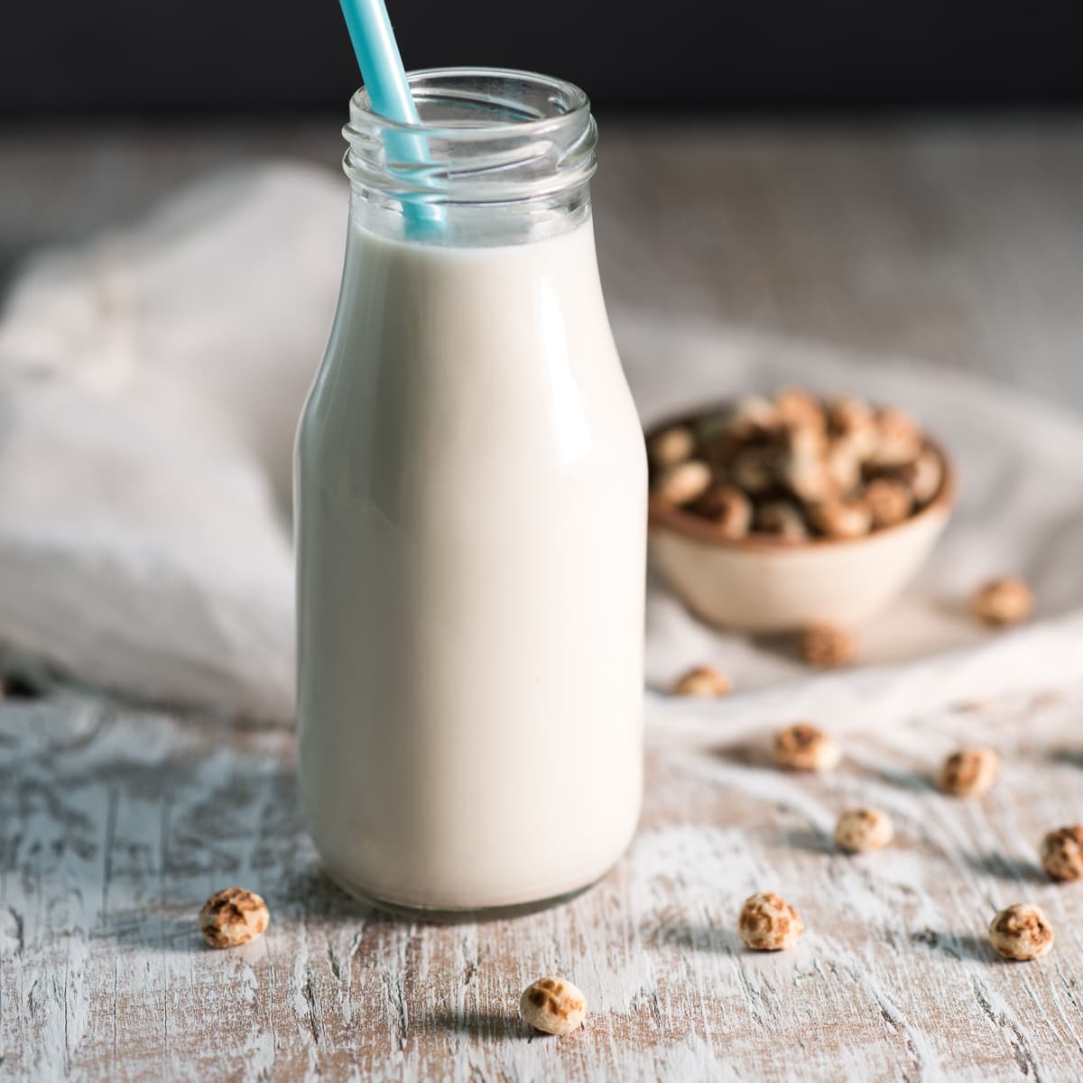 Homemade Tigernut Milk (Horchata De Chufa) | Beet of the Wild